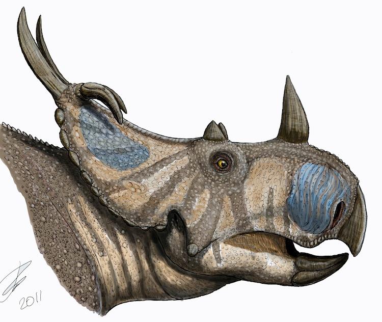 Horned Dinosaur Named Nearly a Century After Discovery | The Epoch Times