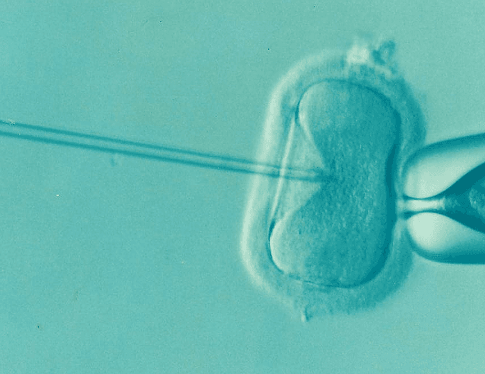 IVF Clinic in Australia Rocked by a Cyberattack | The Epoch Times