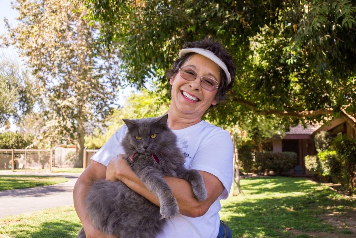 California 'Crazy Cat Lady' Shares Her Home With 1,100 Feral Felines ...