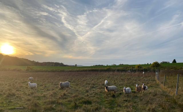 Against Communism and Liberalism, Christian Farmer Seeks to Glorify God ...
