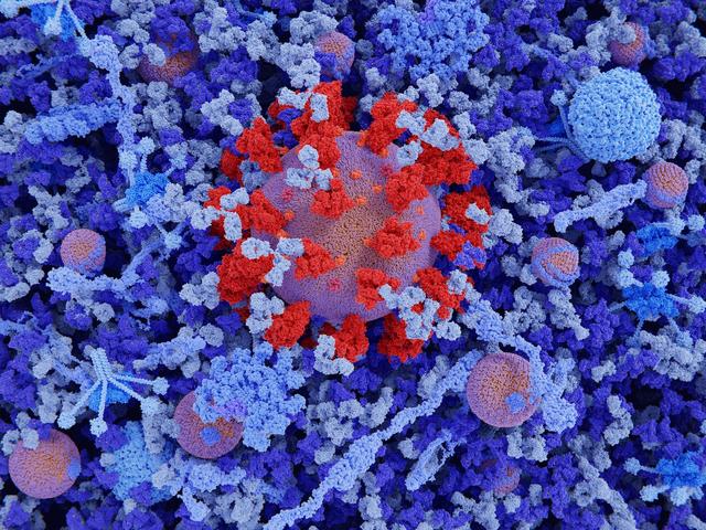 Profit for Biotech Giant CSL Rises 7 Percent, Plasma Business Offsets ...