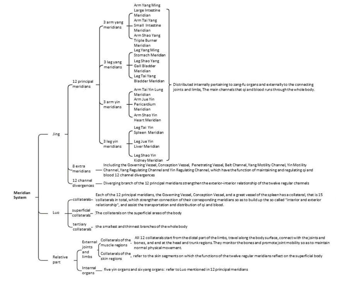 Understanding the ‘Meridians’ in Traditional Chinese Medicine | The ...