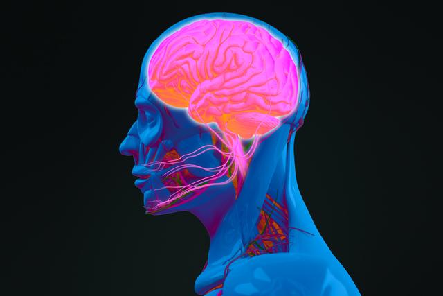 How Sugar Changes Your Brain | The Epoch Times