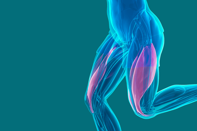 7 ‘Quadzilla’ Exercises to Strengthen Weak Legs and Improve Mobility ...