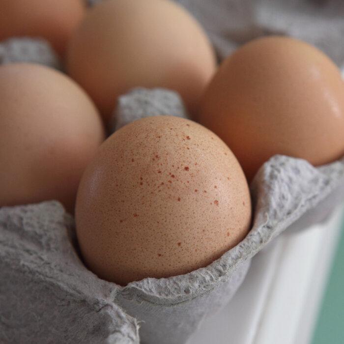 Egg Prices Soar 19 Percent in a Year After Bird Flu Culls Claimed 1 ...