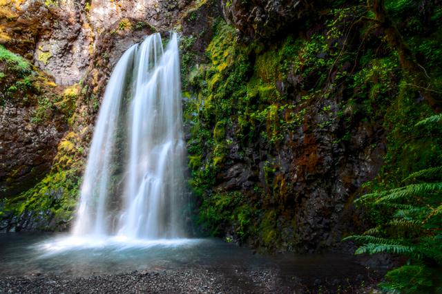 The Bridges of Lane County, Oregon | The Epoch Times
