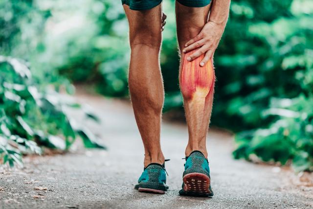 The Calf Muscle Is Your ‘Second Heart’—How to Look After It | The Epoch ...