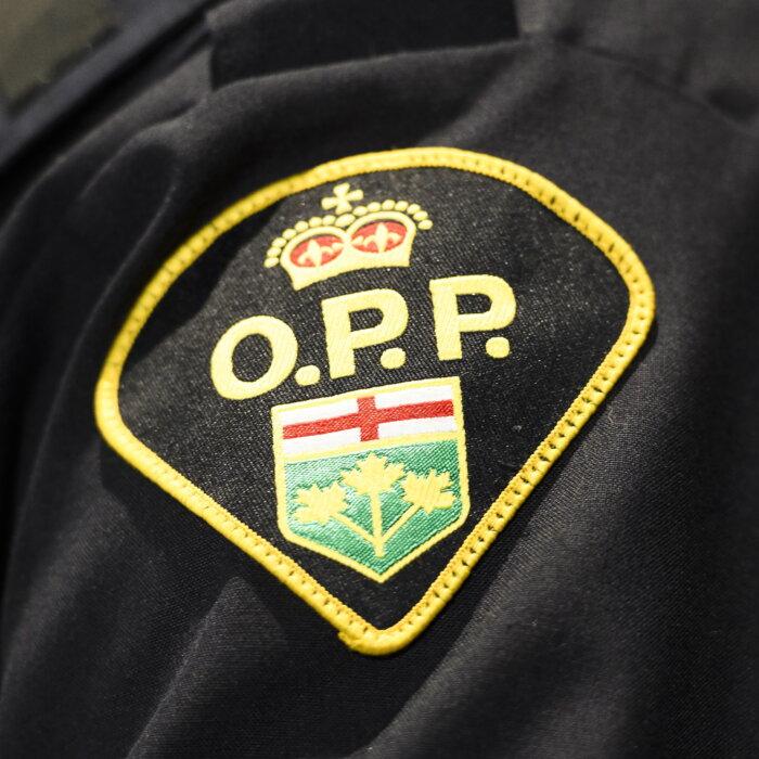 Police Lay 18 New Charges After Recovering 600 Stolen Items in String ...