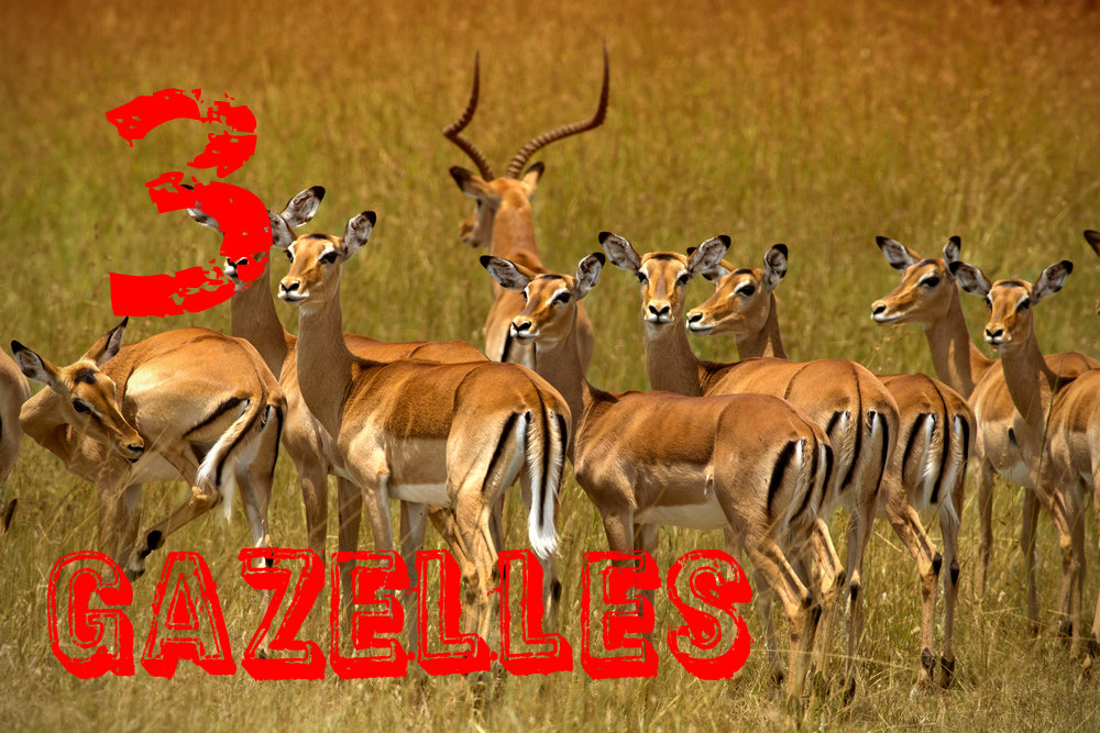 6 Amazing Stories of Children Raised by Animals | The Epoch Times