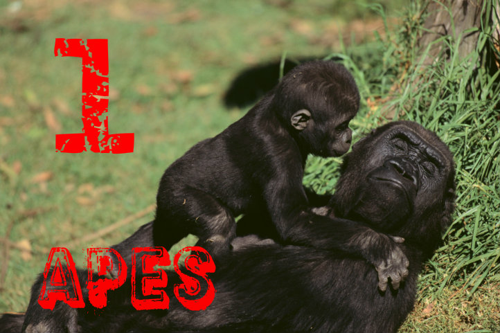 6 Amazing Stories of Children Raised by Animals | The Epoch Times