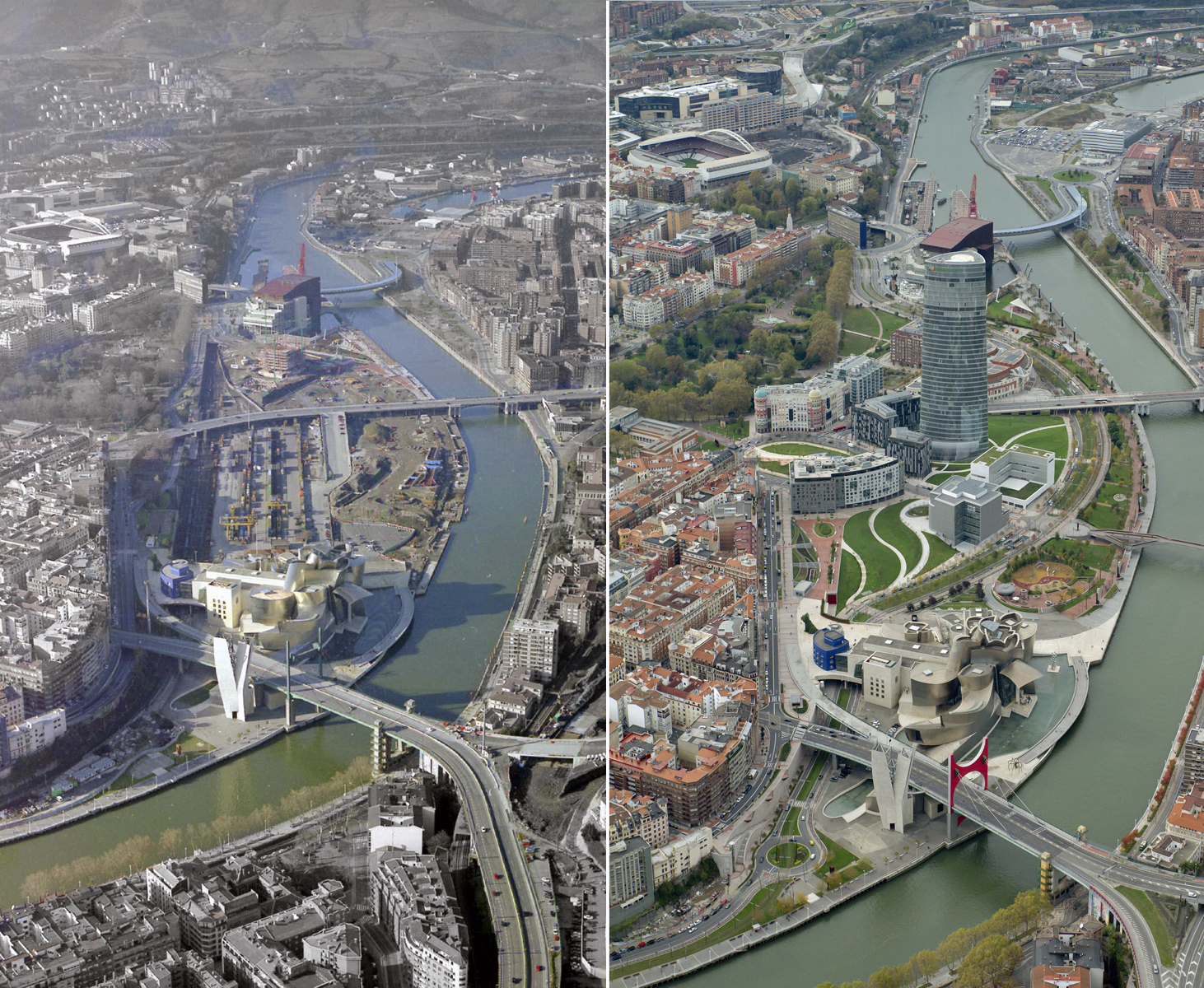 Visionary Landscape and Urban Designer Diana Balmori on Working With ...