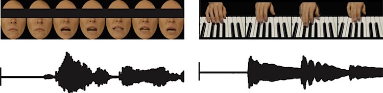 Pianists More Sensitive to Music Errors Than Non-Musicians | The Epoch ...