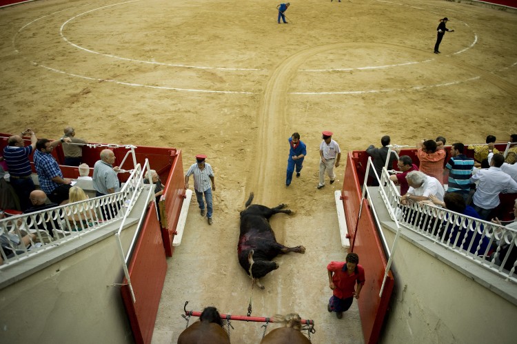 Bullfighting Underway in Barcelona (Photos) | The Epoch Times