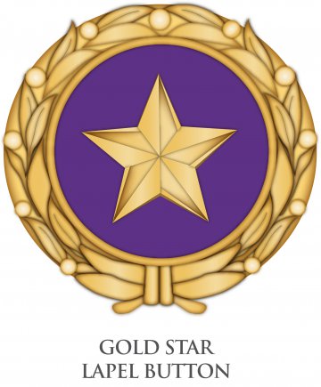 Designer Patches Gold Star Family Member Patch - Veteran Owned Gold ...