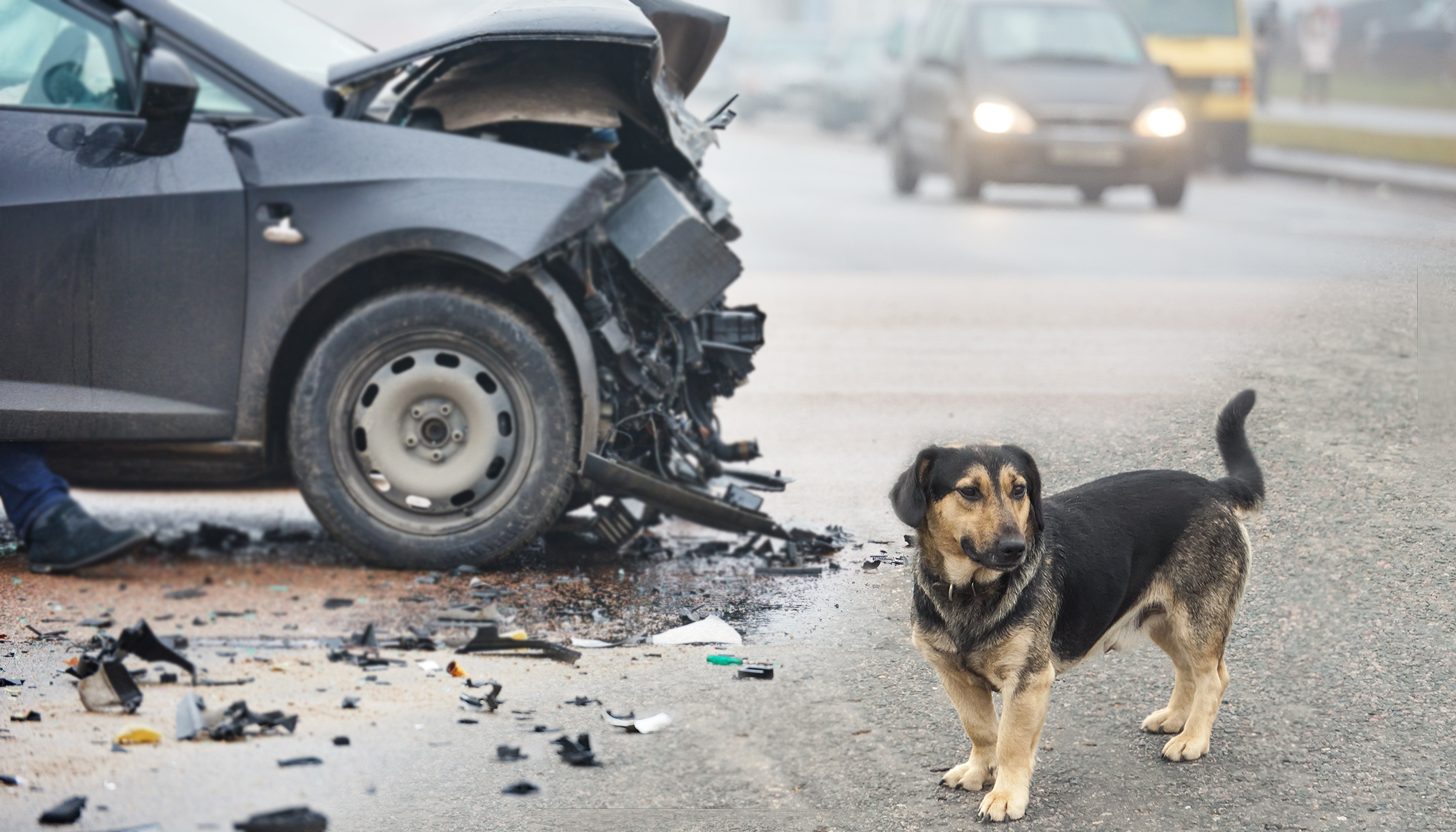 The Epoch Times on Flipboard by The Epoch Times | Iran, South China Sea ...